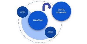 Digital Pedagogy - Noted Insights