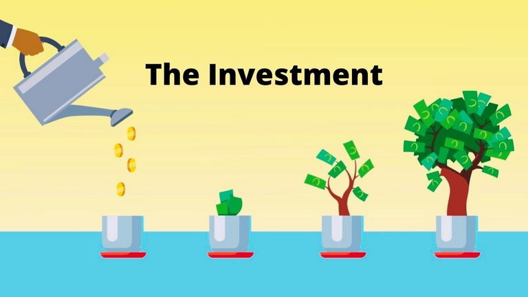 Fundamentals of Investment - Notes - Noted Insights